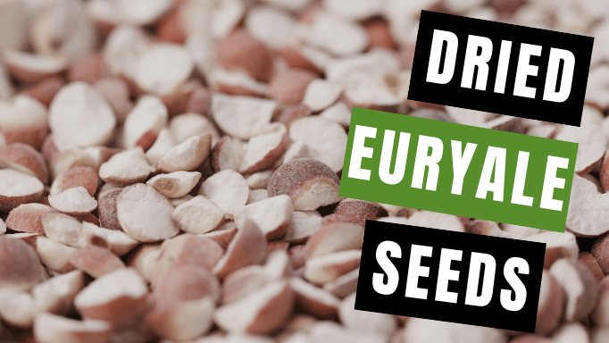Dried Euryale Seeds (Qian Shi): About, Benefits & Uses | Vita Herbal ...