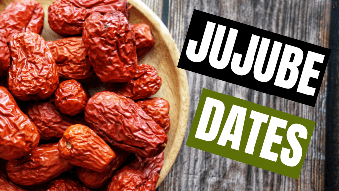 Jujube Dates | Usage and Health Benefits | Vita Herbal Blogs – Vita ...