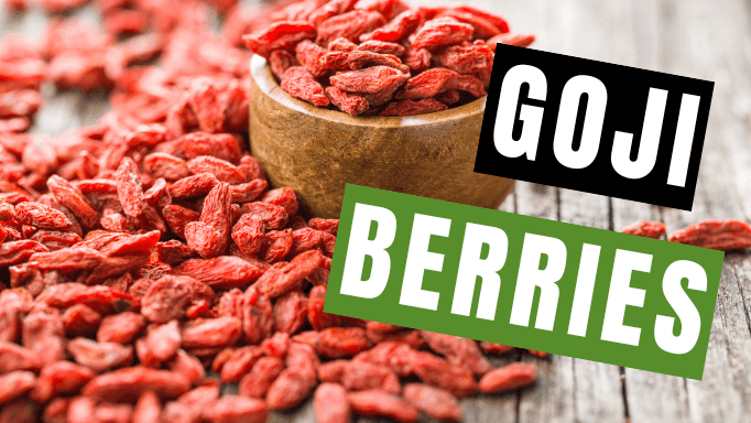 10 Brilliant Uses for Goji Berries (Gou Qi Zi) – Vita Herbal Nutrition