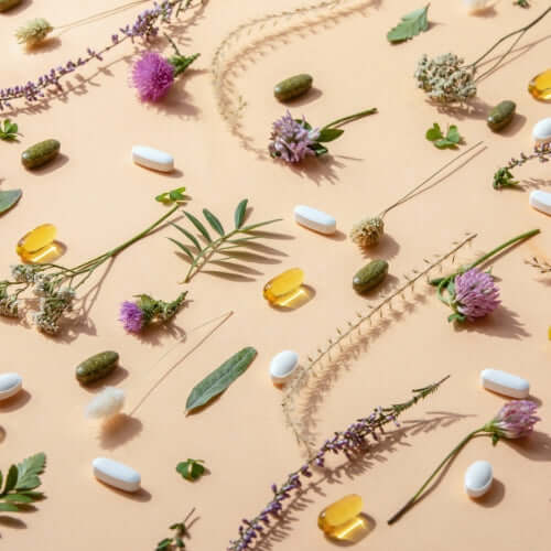 Dried Hawthorn Berries 山楂 (Shan Zha) | (100g) – Vita Herbal Nutrition